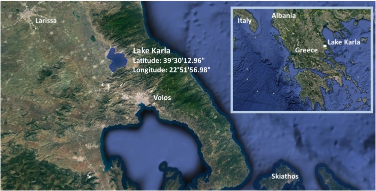 The World Before – Lake Karla, Greece - 10,000 Birds