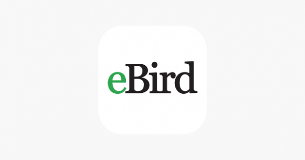 10,000 Birds goes eBirding - Part I - 10,000 Birds