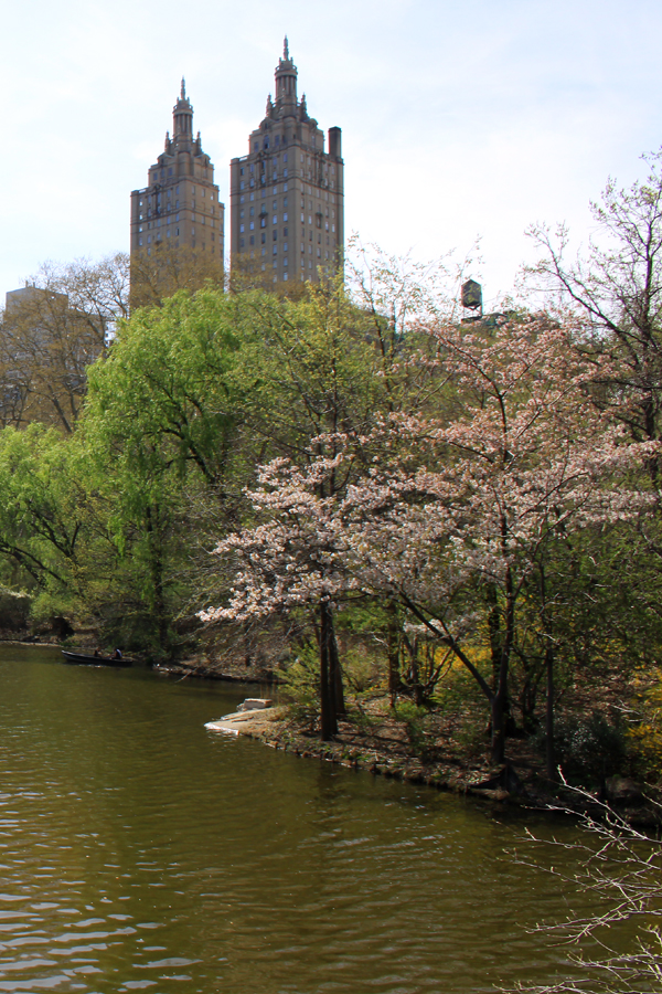 Spring in Manhattan - 10,000 Birds