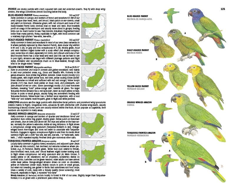 Review: Wildlife Conservation Society Birds of Brazil - The Pantanal ...