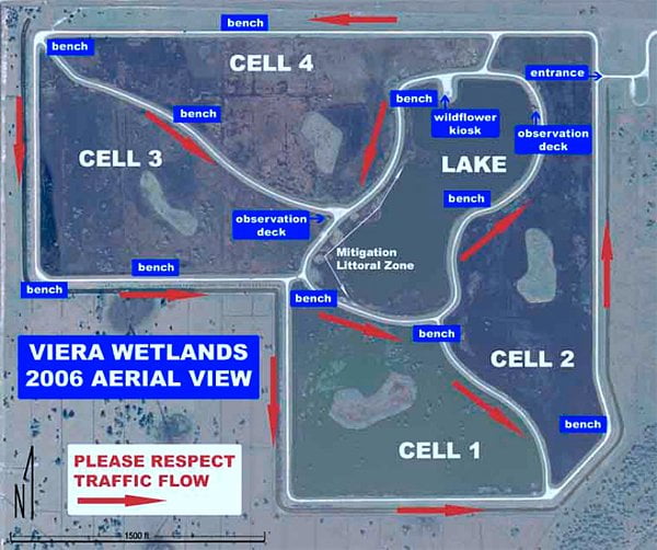 Visiting Viera Wetlands - 10,000 Birds