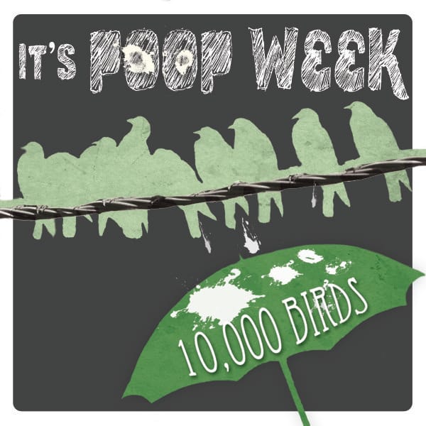 What is Bird Poop? - 10,000 Birds