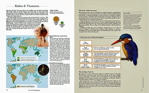 The Atlas of Birds: Diversity, Behavior, and Conservation - A Book ...
