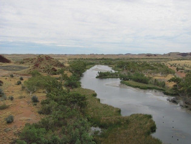 Harding Dam - 10,000 Birds