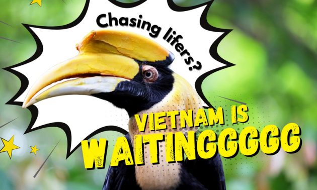 What is the National Bird of the United States? - 10,000 Birds