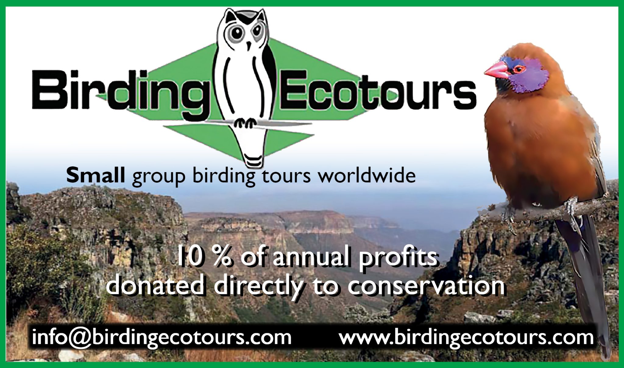 Top 10-plus Pipits - 10,000 Birds