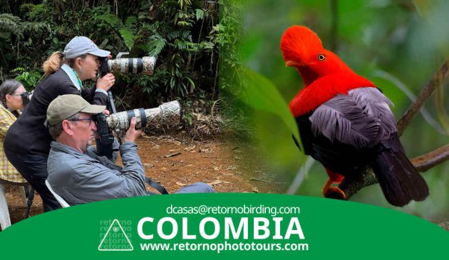 Bergin’s Law of Avian Identification #7: Generalists vs. Specialists ...