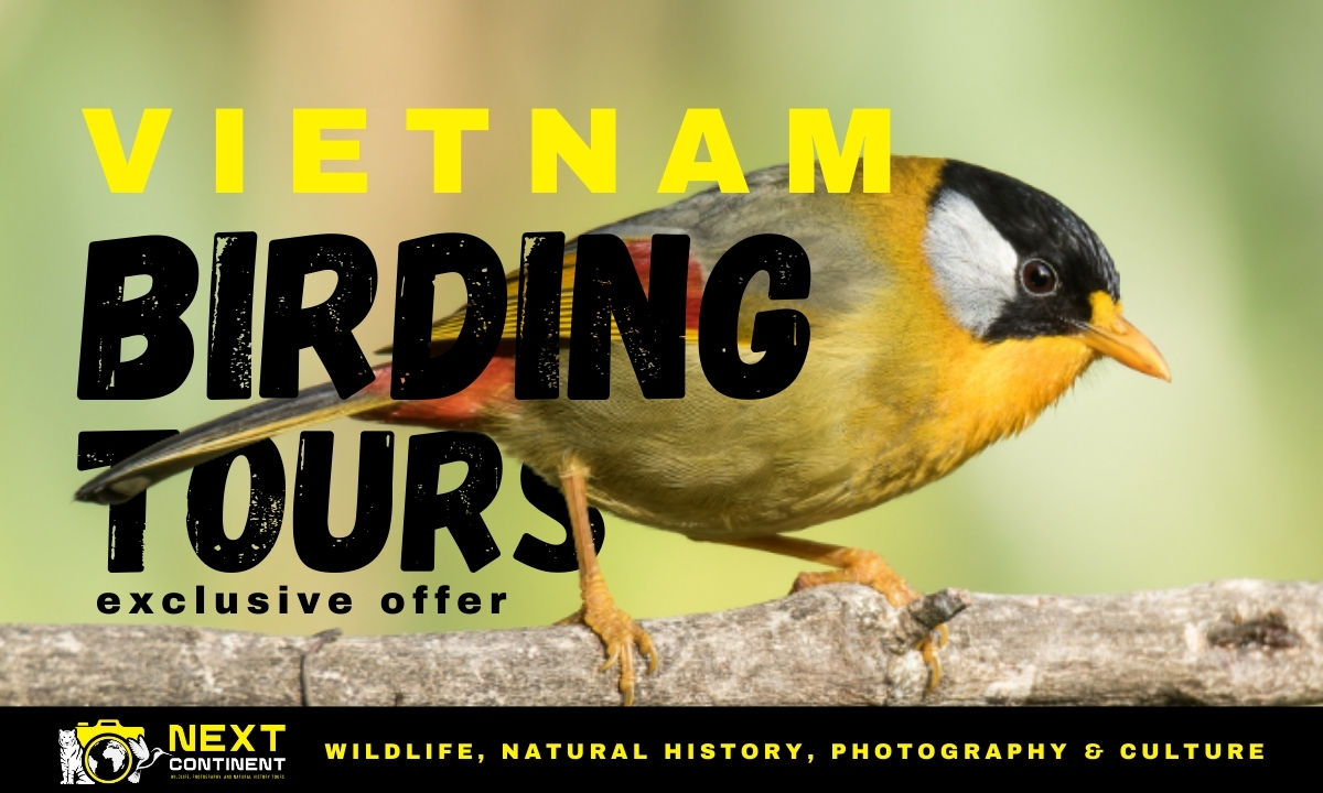 About 10,000 Birds - 10,000 Birds