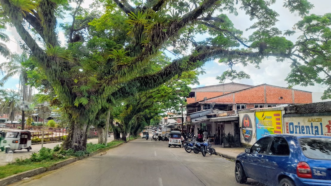 Birding Inirida, Colombia: practicalities, part 3 - 10,000 Birds