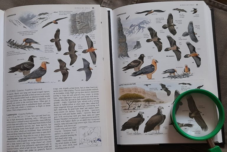 The Collins Bird Guide, 3rd edition - 10,000 Birds