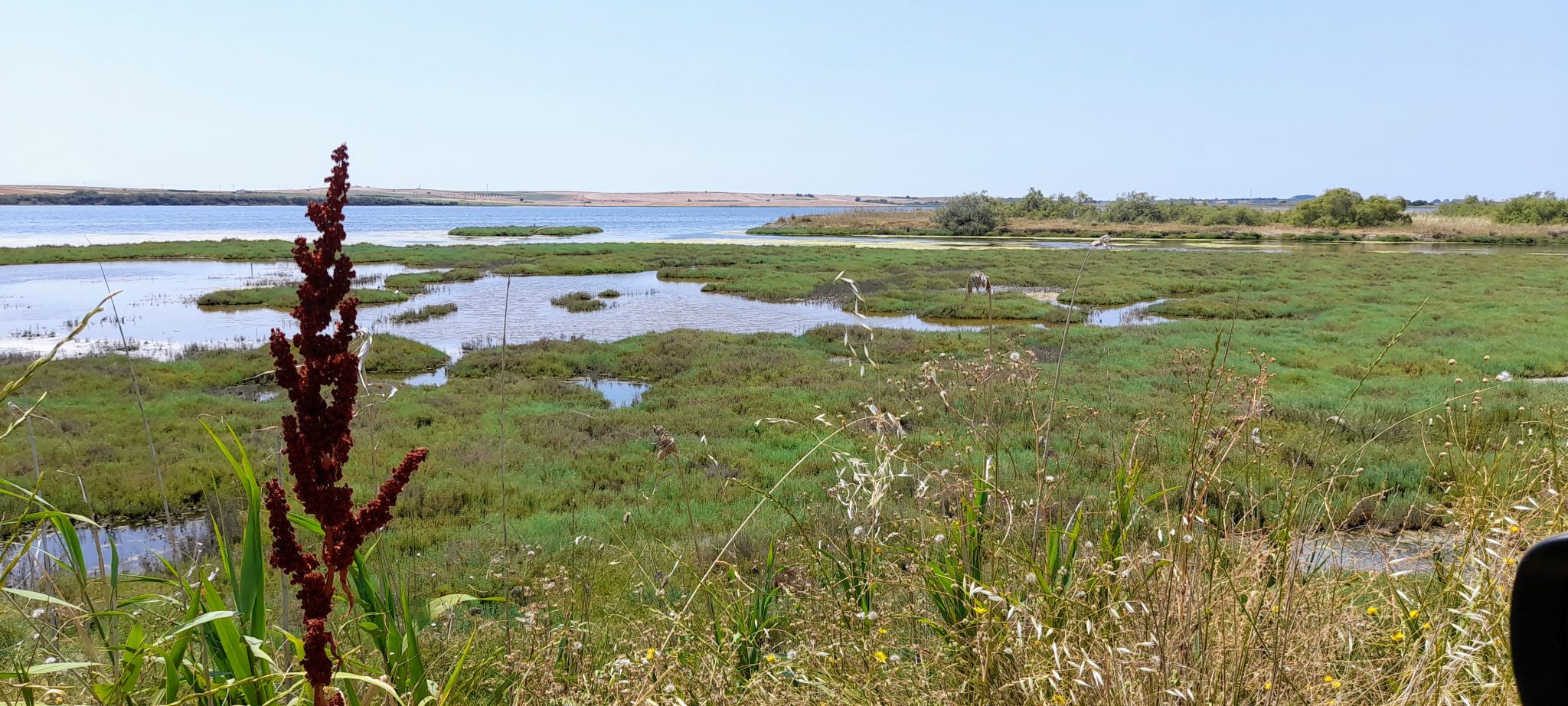 Birding Porto Lagos Lagoons, Greece, or the snake-cold Vergina lager ...