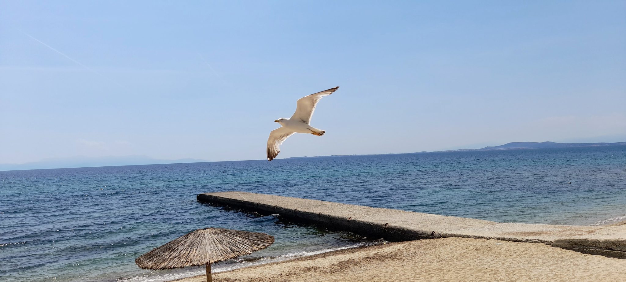 Birding Porto Lagos Lagoons, Greece, or the snake-cold Vergina lager ...