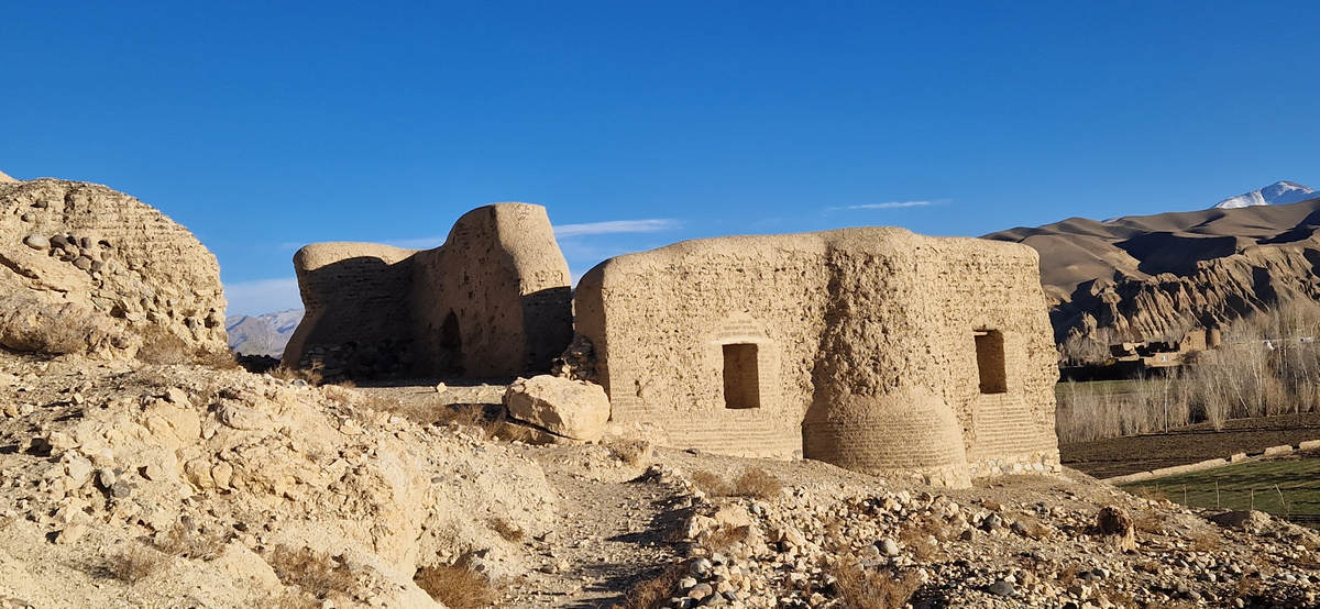 Birding the Bamiyan area, Afghanistan - 10,000 Birds