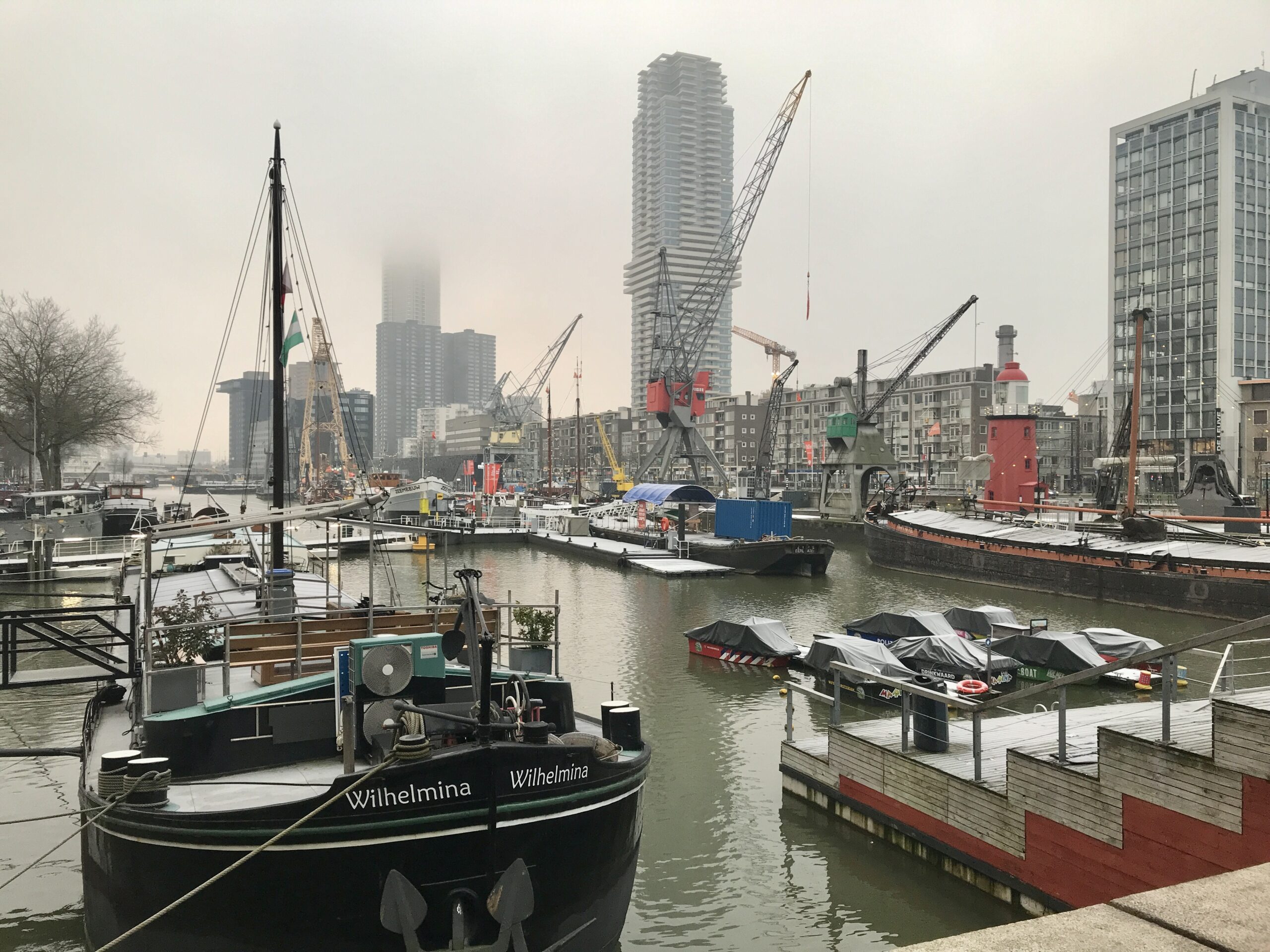 Rotterdam - 10,000 Birds