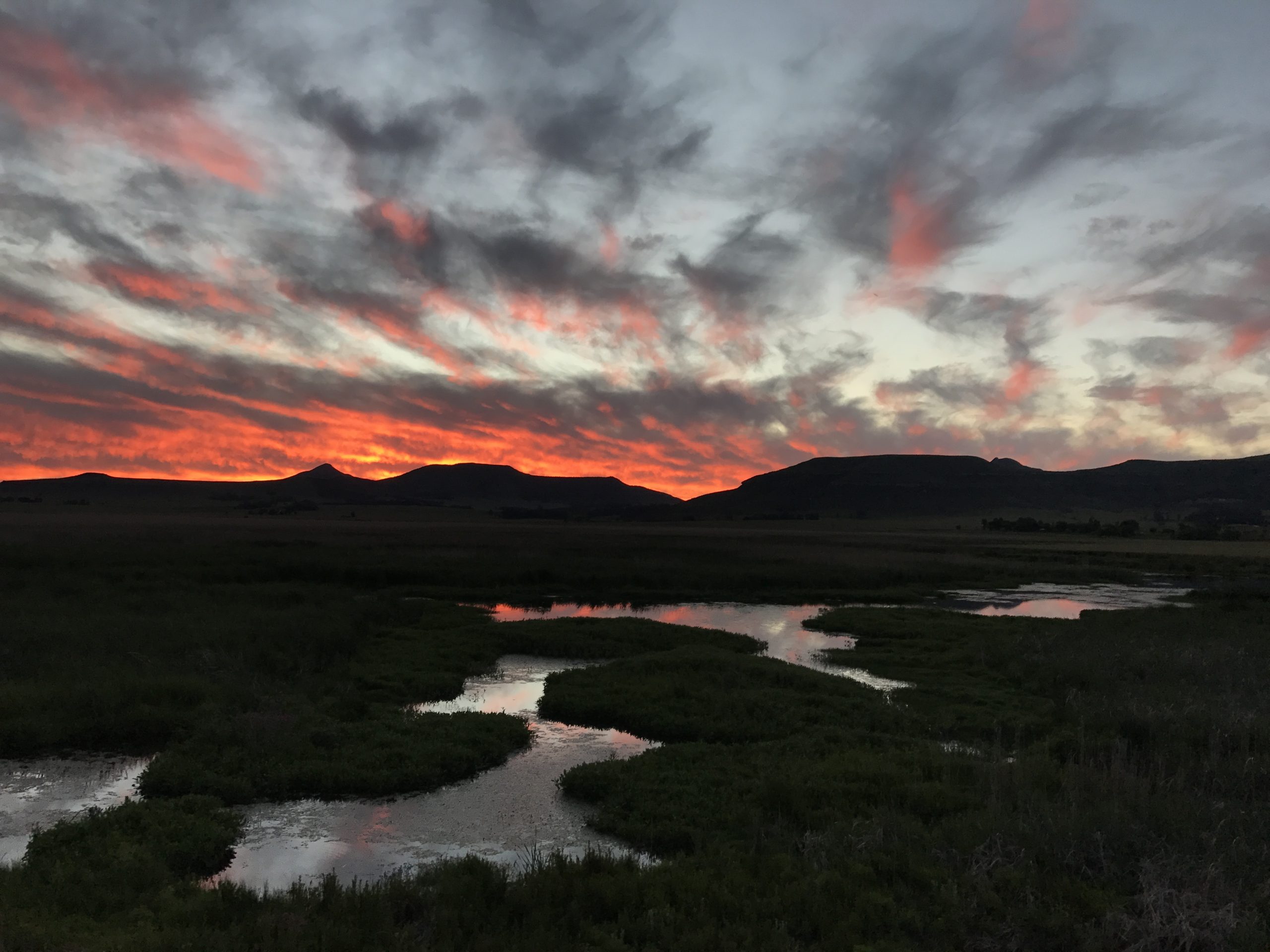 What is a birder? - 10,000 Birds