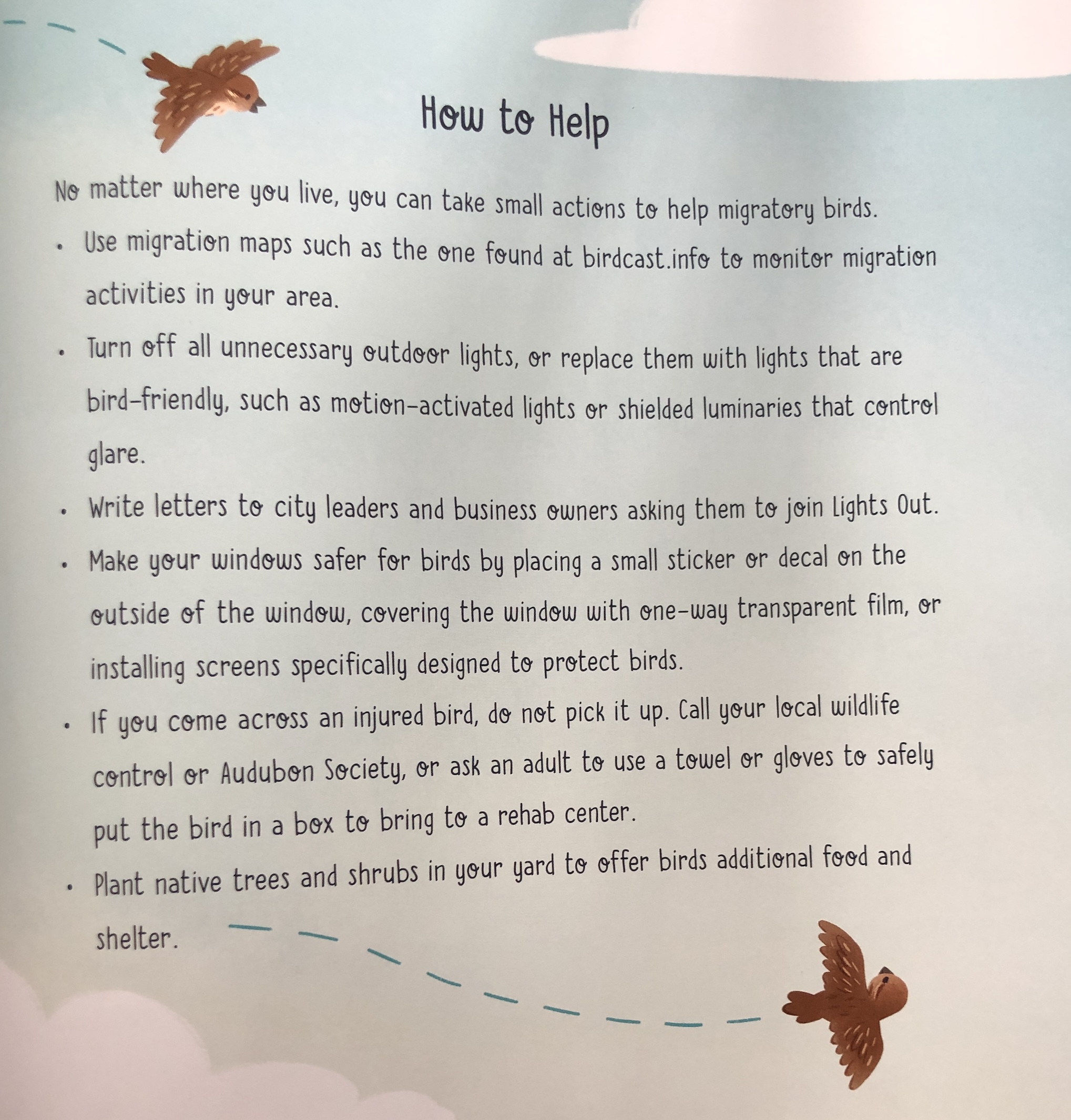 LIGHTS OUT: A MOVEMENT TO HELP MIGRATING BIRDS: A KidLit Bird Book ...