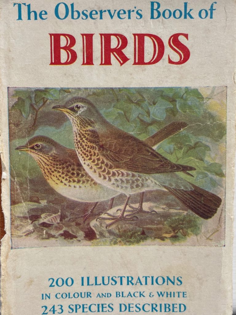 An Inspiration for Life - 10,000 Birds