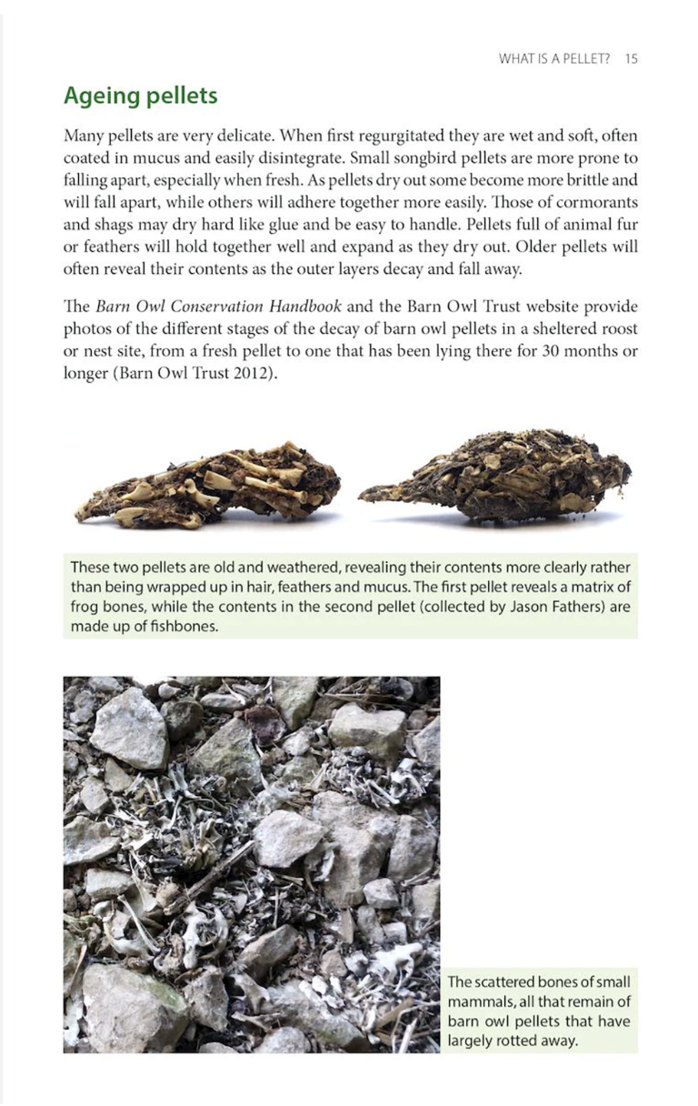 Bird Pellets: A Complete Photographic Guide–A Book Review - 10,000 Birds