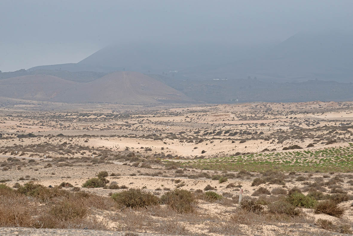 Desert Islands - 10,000 Birds