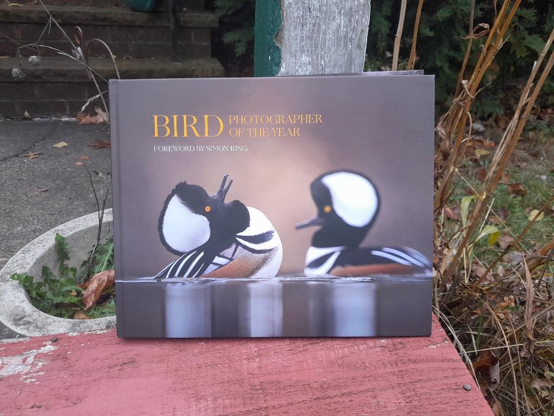“Bird Photographer of the Year” (the book) - 10,000 Birds