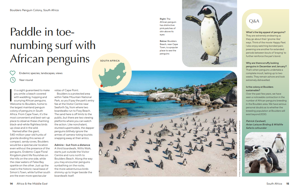 “The Joy of Birdwatching” — a book review - 10,000 Birds