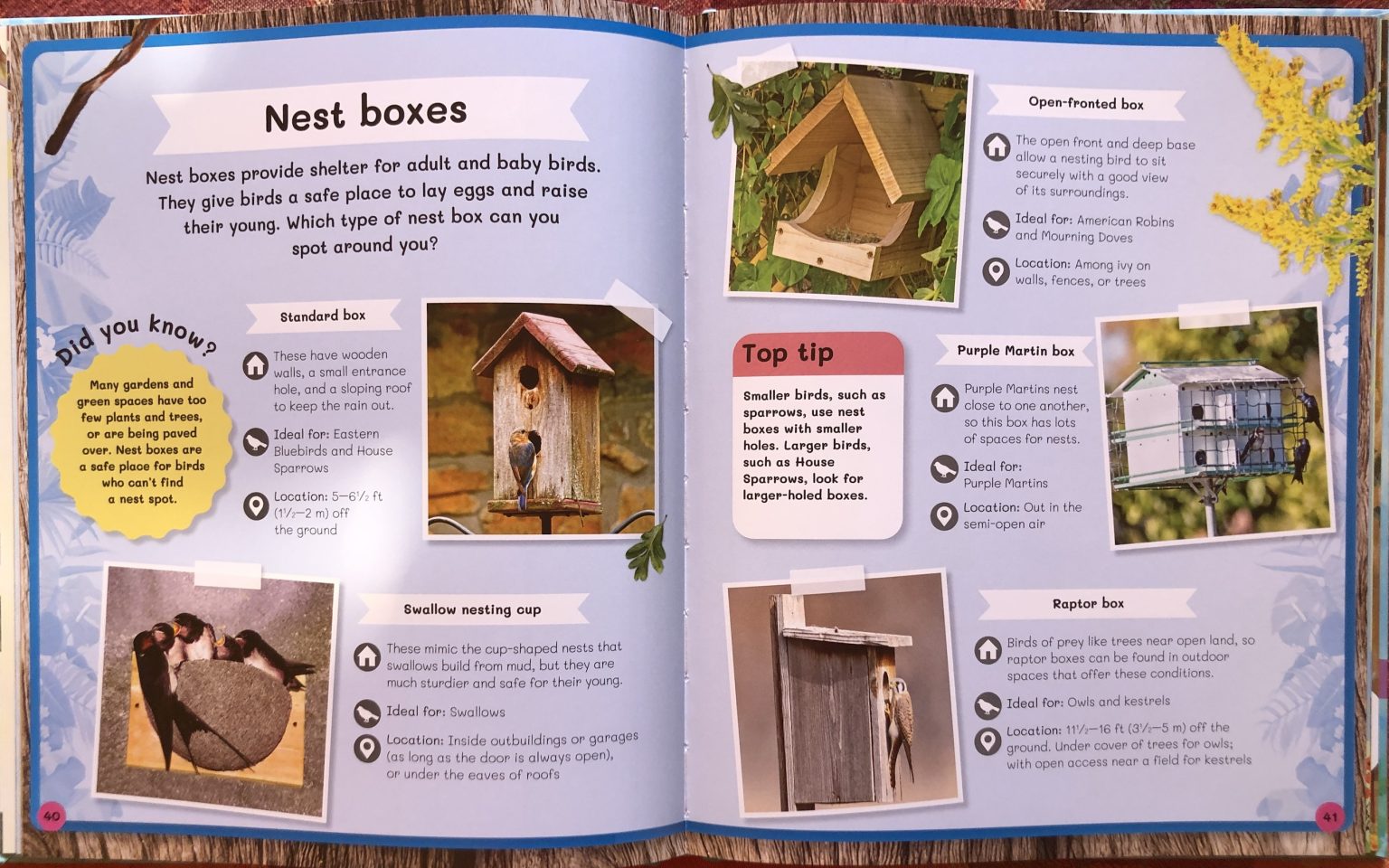 THE CHILDREN’S BOOK OF BIRDWATCHING: A KidLit Bird Book Review - 10,000 ...