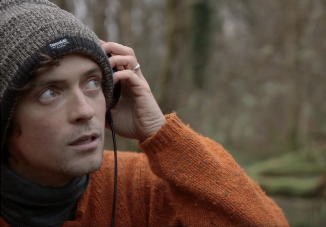 Review: Birdsong Film - 10,000 Birds