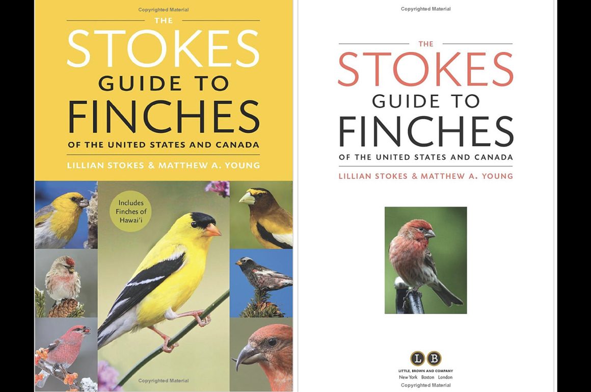 Our Favorite Bird Books of 2024 - 10,000 Birds
