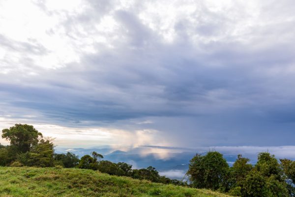 Birding the Slopes of Turrialba Volcano - 10,000 Birds