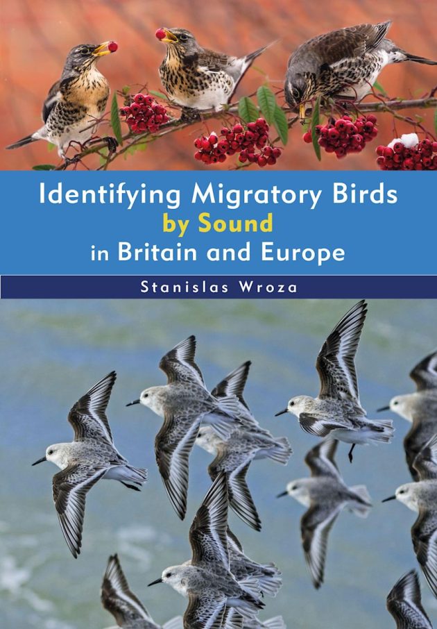 Our Favorite Bird Books of 2024 - 10,000 Birds