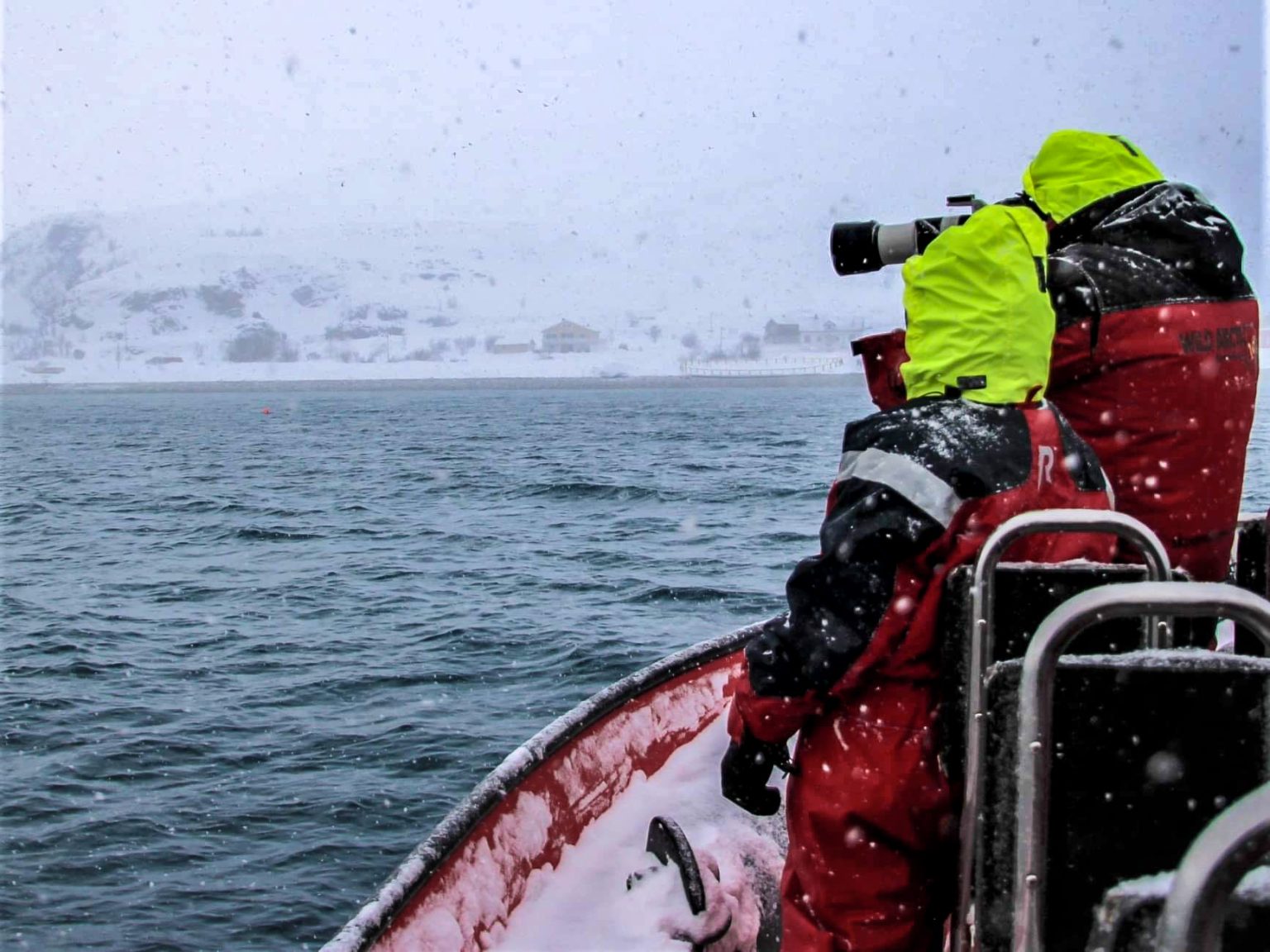Birding Lodges Of The World: Båtsfjord Brygge Arctic Resort - 10,000 Birds