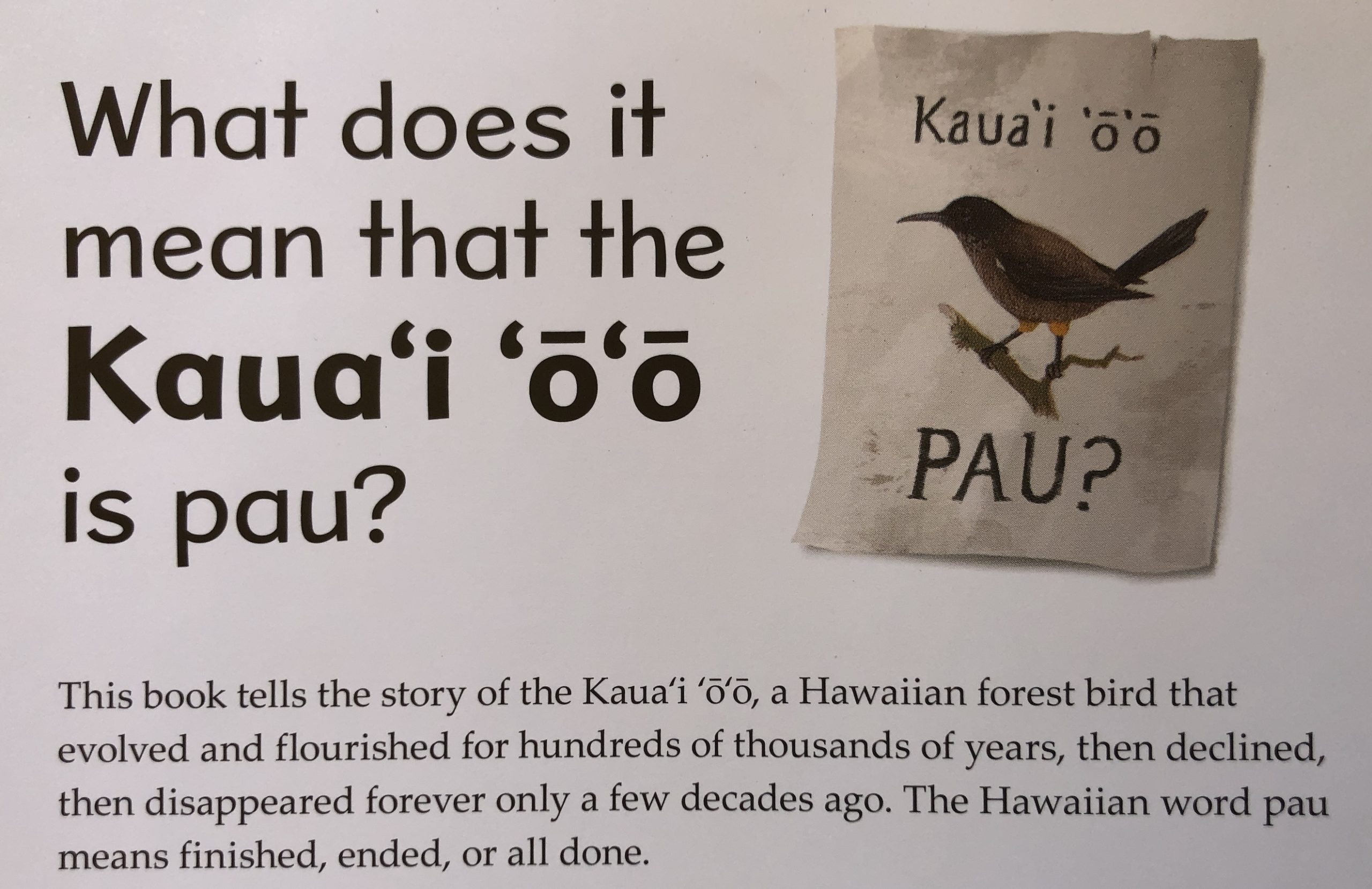 PAU: THE LAST SONG OF THE KAUA‘I ‘O‘O: A KidLit Bird Book Review ...
