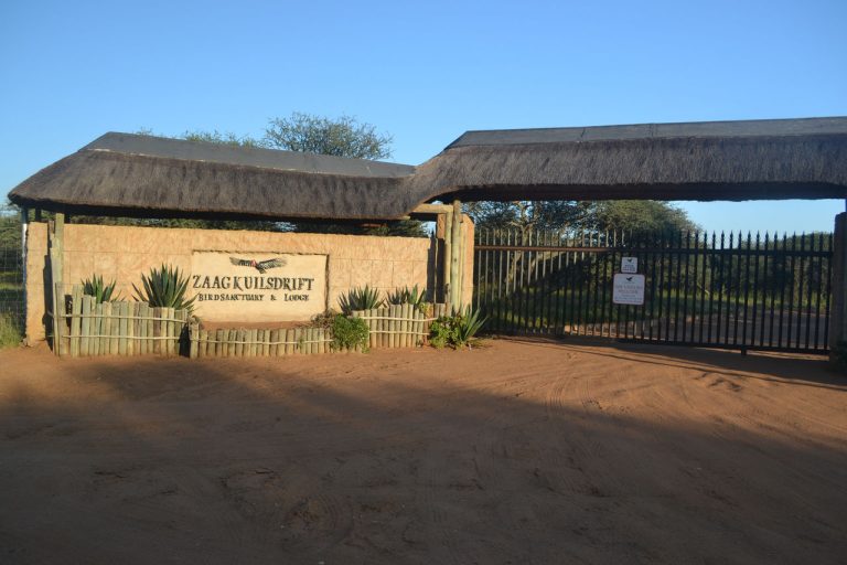 Birding Lodges of the World: Zaagkuilsdrift Bird Sanctuary and Lodge ...