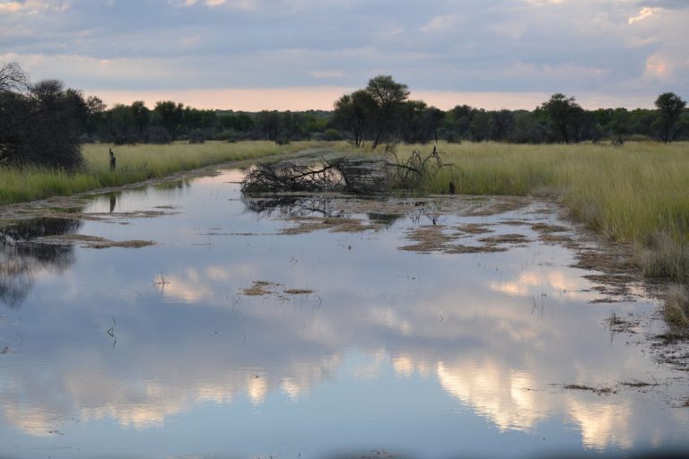 Birding Lodges of the World: Zaagkuilsdrift Bird Sanctuary and Lodge ...