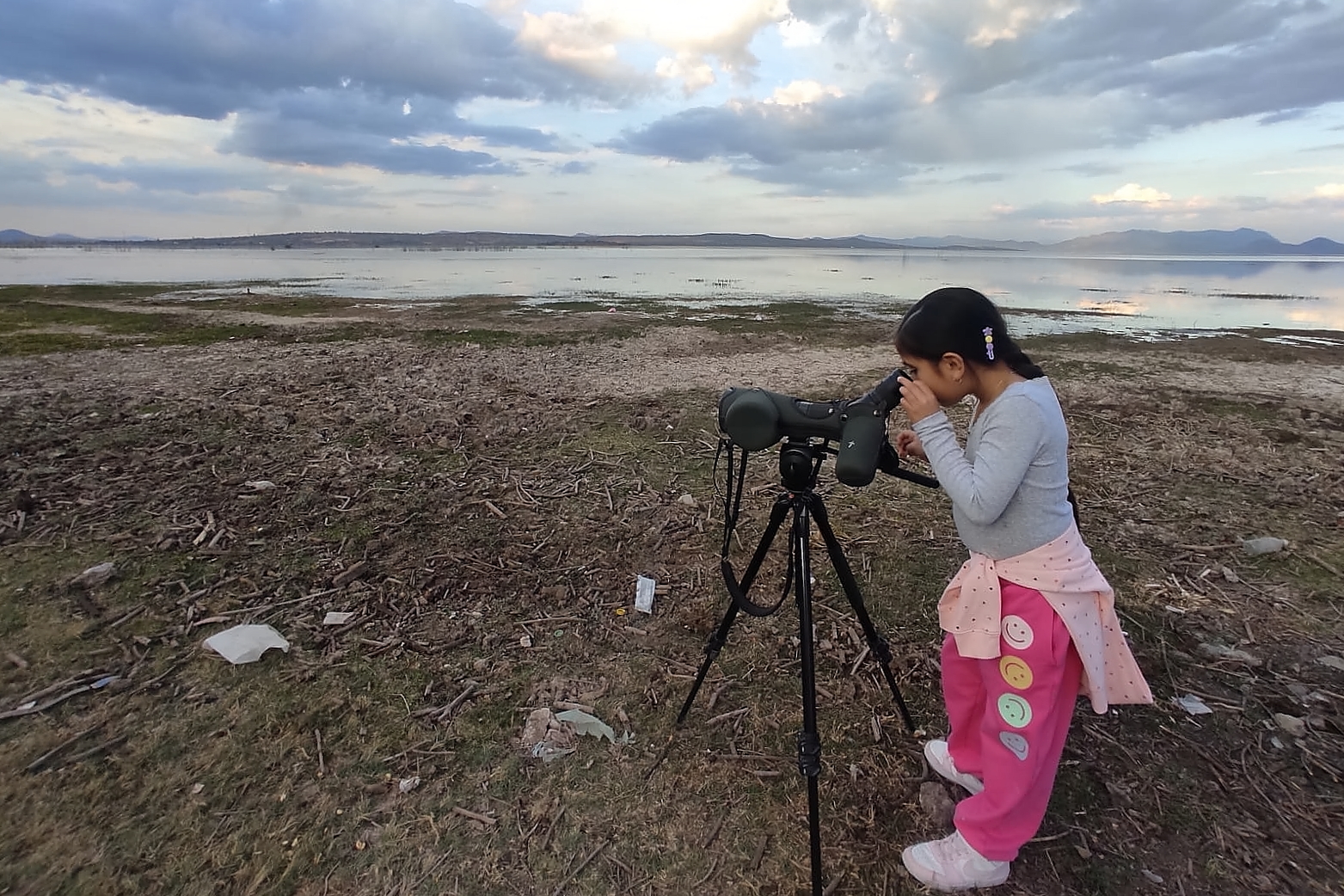 Forward Progress - 10,000 Birds