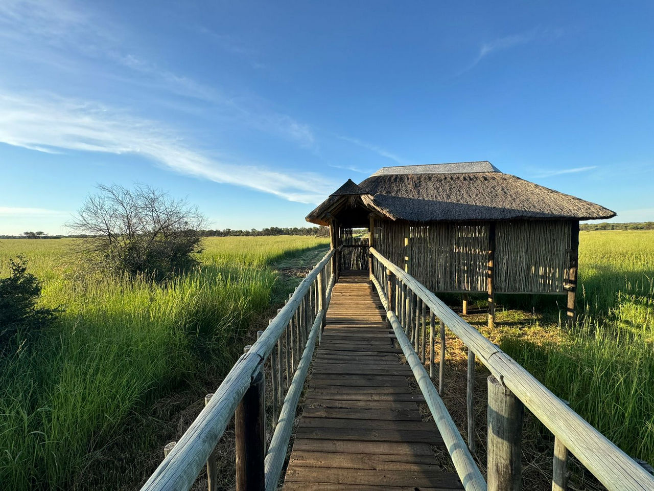 Birding Lodges of the World: Zaagkuilsdrift Bird Sanctuary and Lodge ...