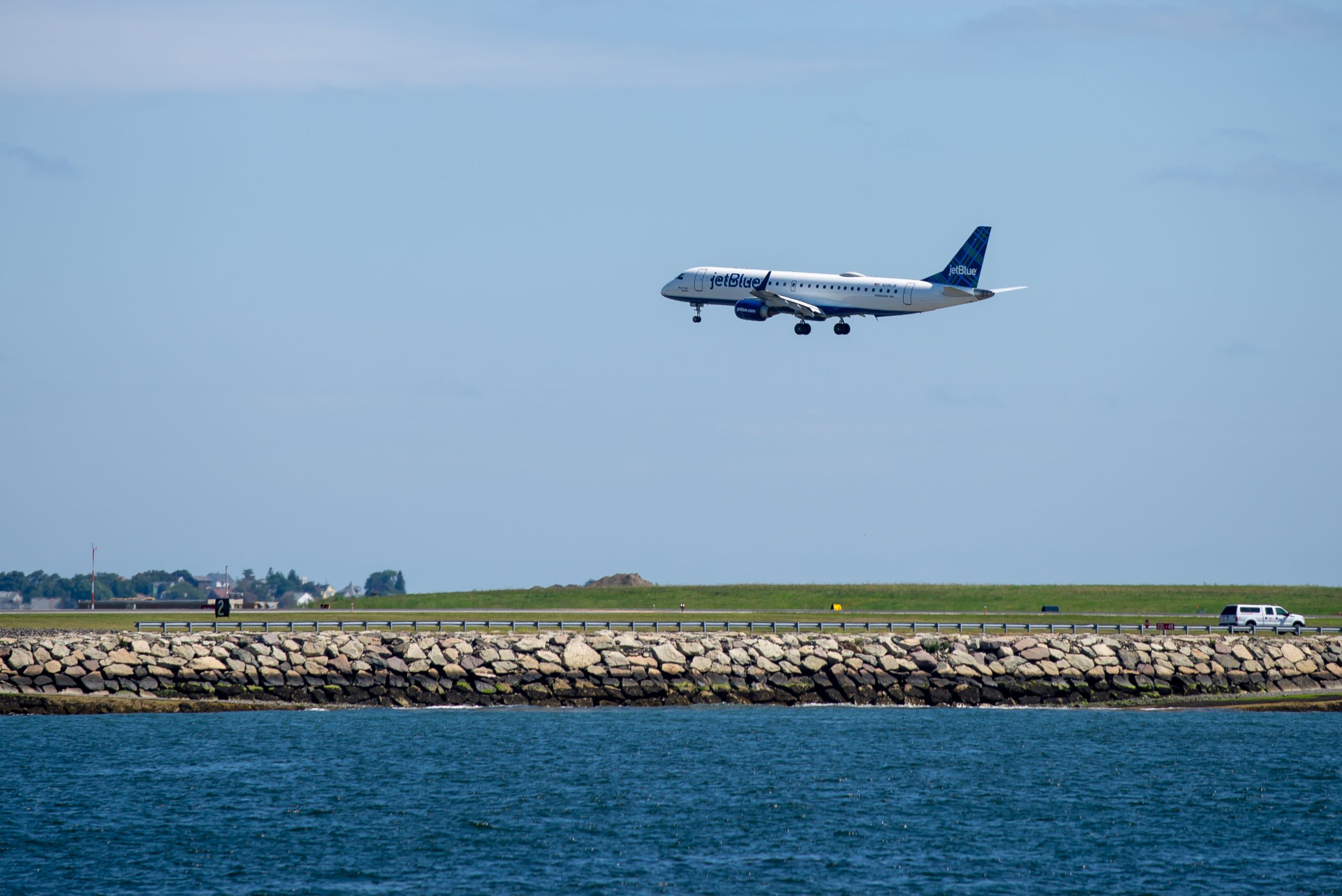 Airport Birding - 10,000 Birds