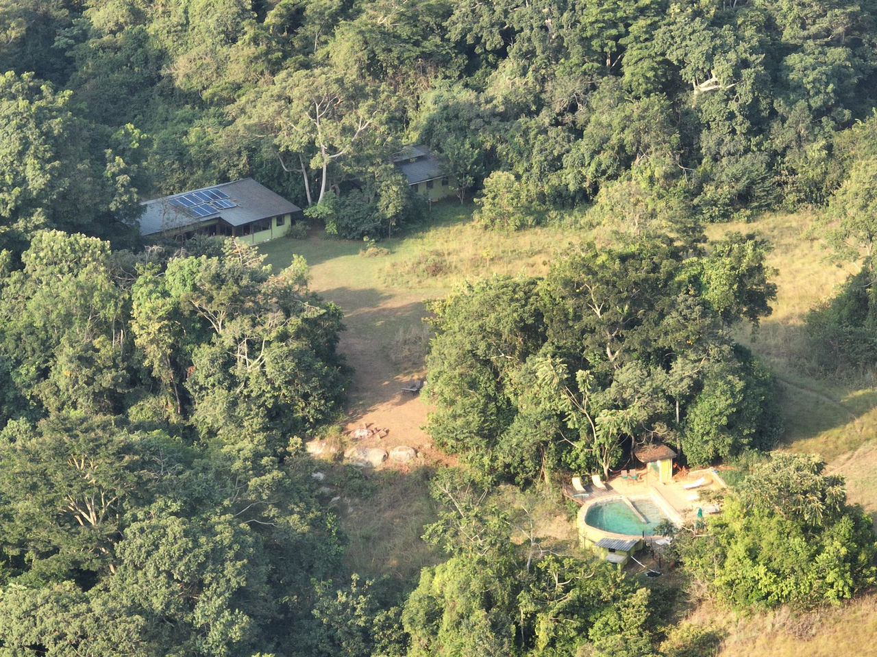 Birding Lodges Of The World: Nkima Forest Lodge, Uganda - 10,000 Birds