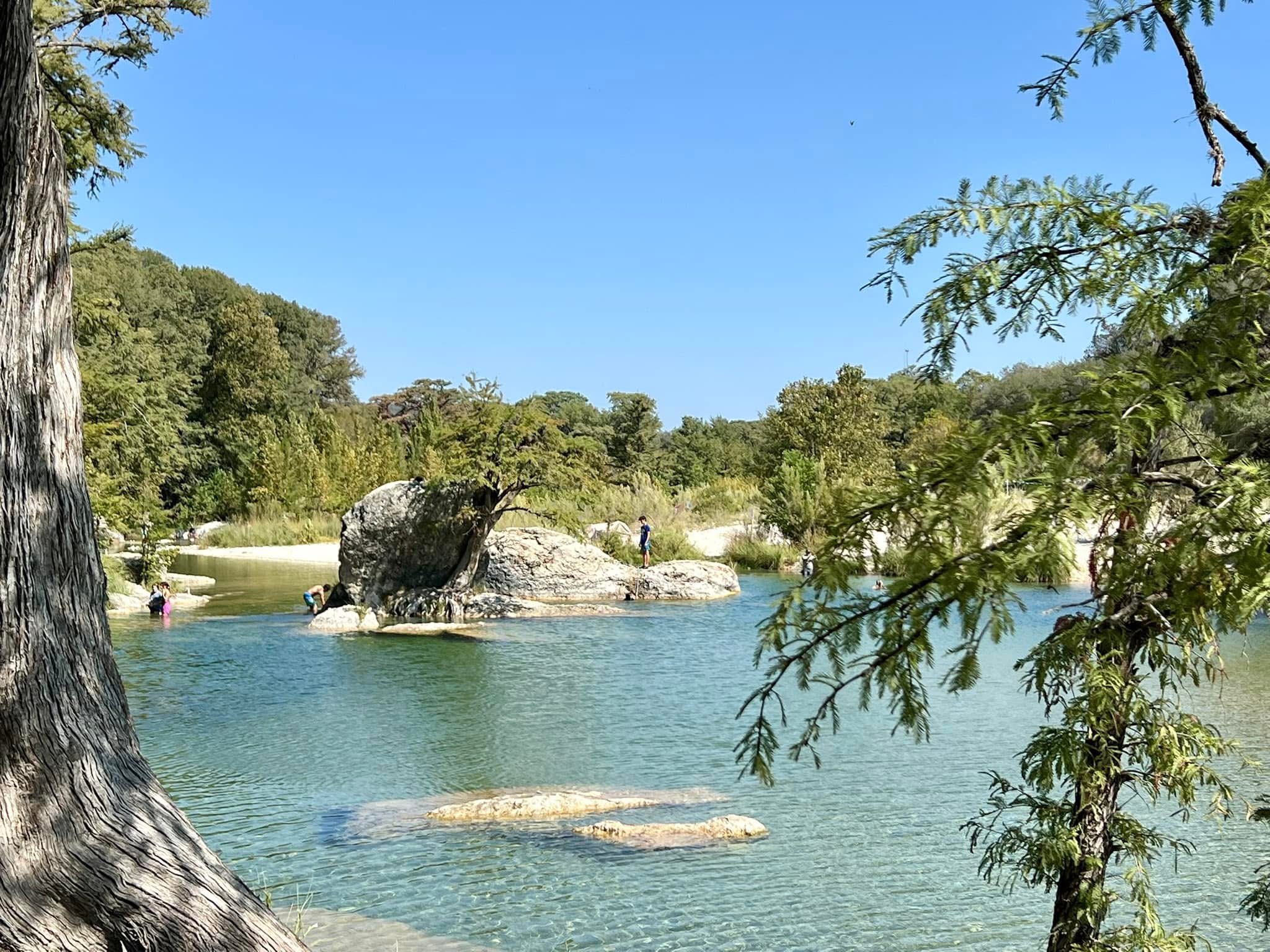 Birding Lodges of the World: Neal’s Lodges, Texas, USA - 10,000 Birds