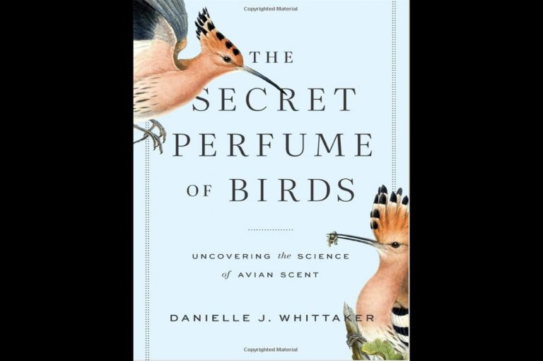 Podcast: Bird Nerd Book Club; The Secret Perfume of Birds - 10,000 Birds