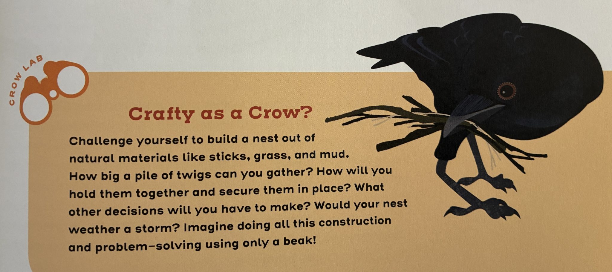 HOW TO KNOW A CROW: A KidLit Bird Book Review - 10,000 Birds
