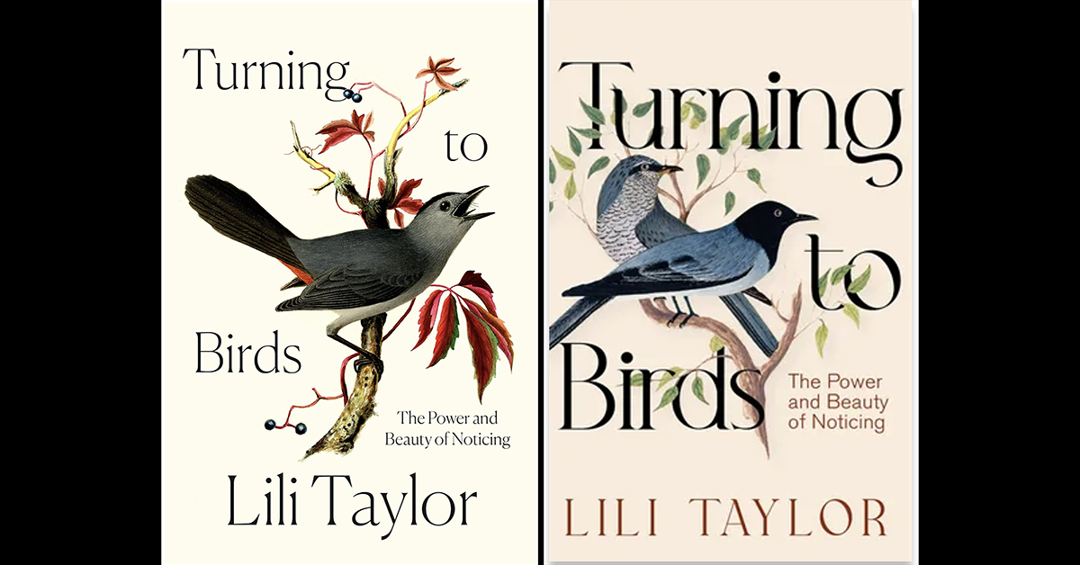 Turning to Birds: The Power and Beauty of Noticing: A Book Review ...