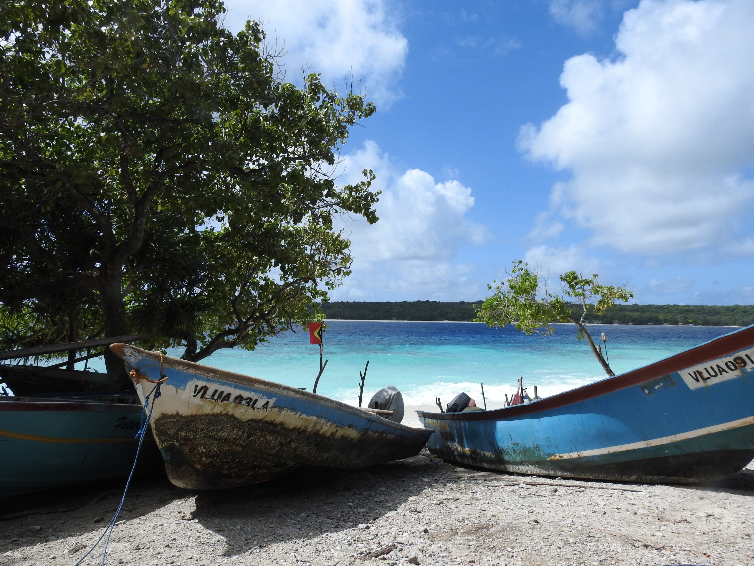 All The Reasons Alfred Russel Wallace Was A Cool Bloke - 10,000 Birds