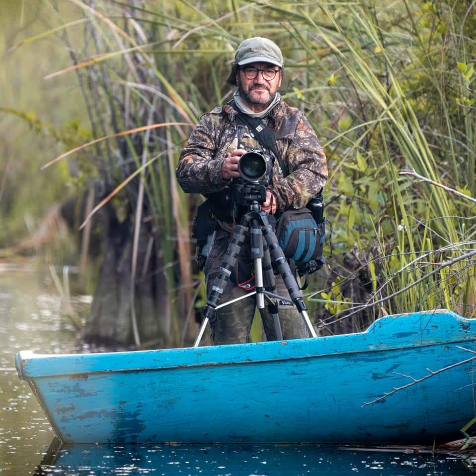 My Ten Best Birds of 2019 - 10,000 Birds