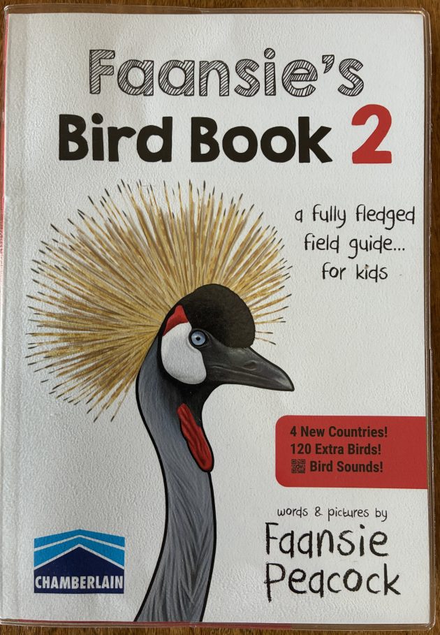 Faansie’s Bird Book 2: A KidLit Bird Book Review - 10,000 Birds