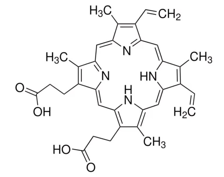 The Chemistry of Birds (4): Eggshells - 10,000 Birds