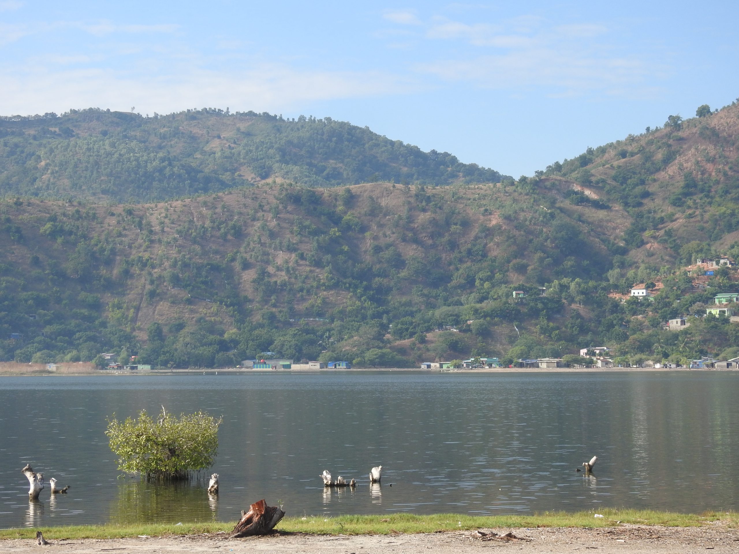 Adventurous Timor-Leste - Nation of Endemics - 10,000 Birds