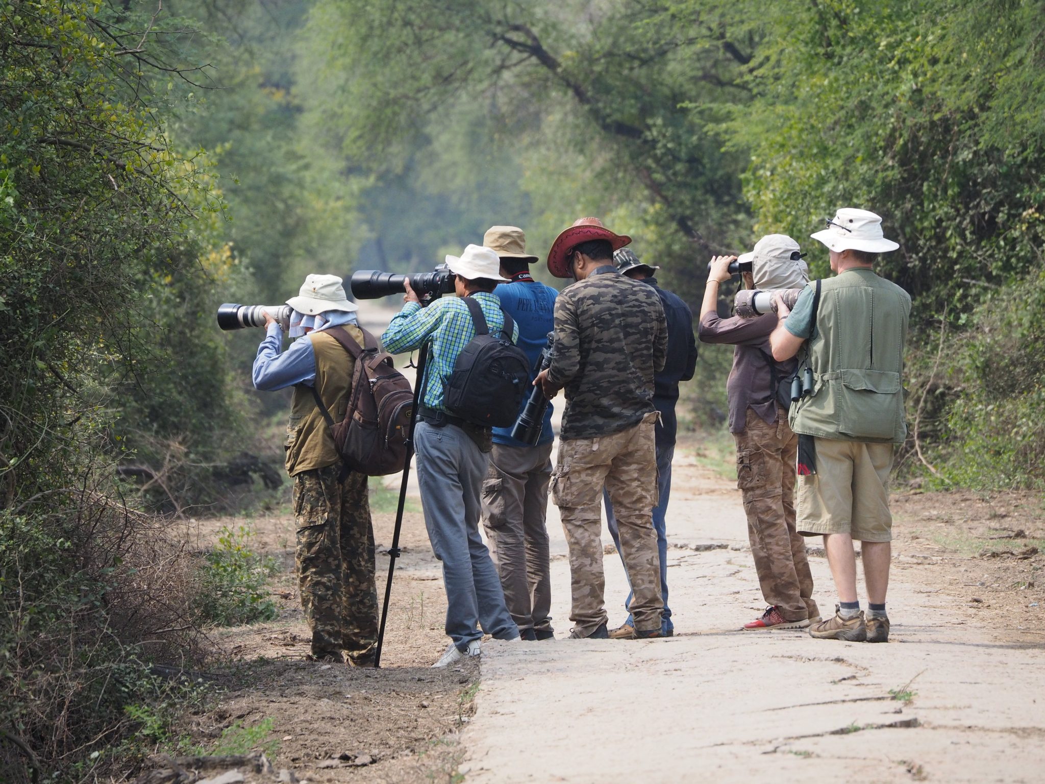 The Best Bird Reserve in the World? - 10,000 Birds