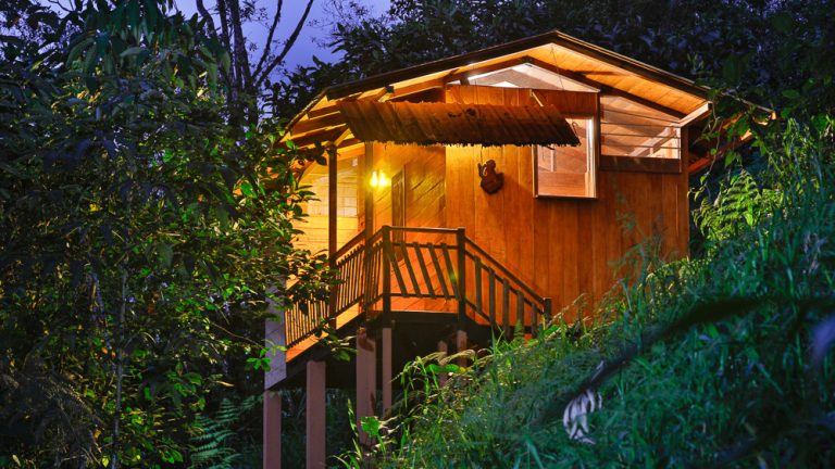 Birding Lodges of the World: Copalinga Lodge – Reserva Copalinga ...