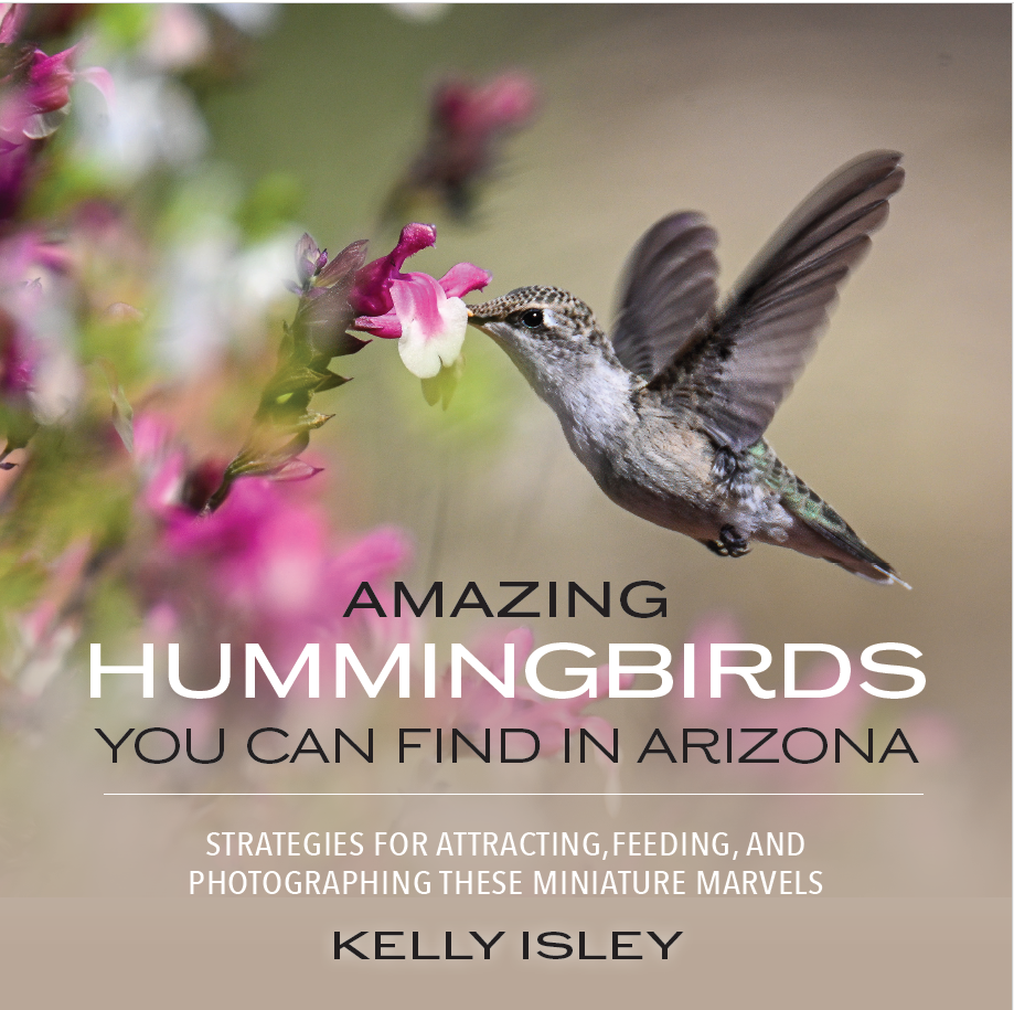 Book Review - Amazing Hummingbirds You Can Find in Arizona - 10,000 Birds